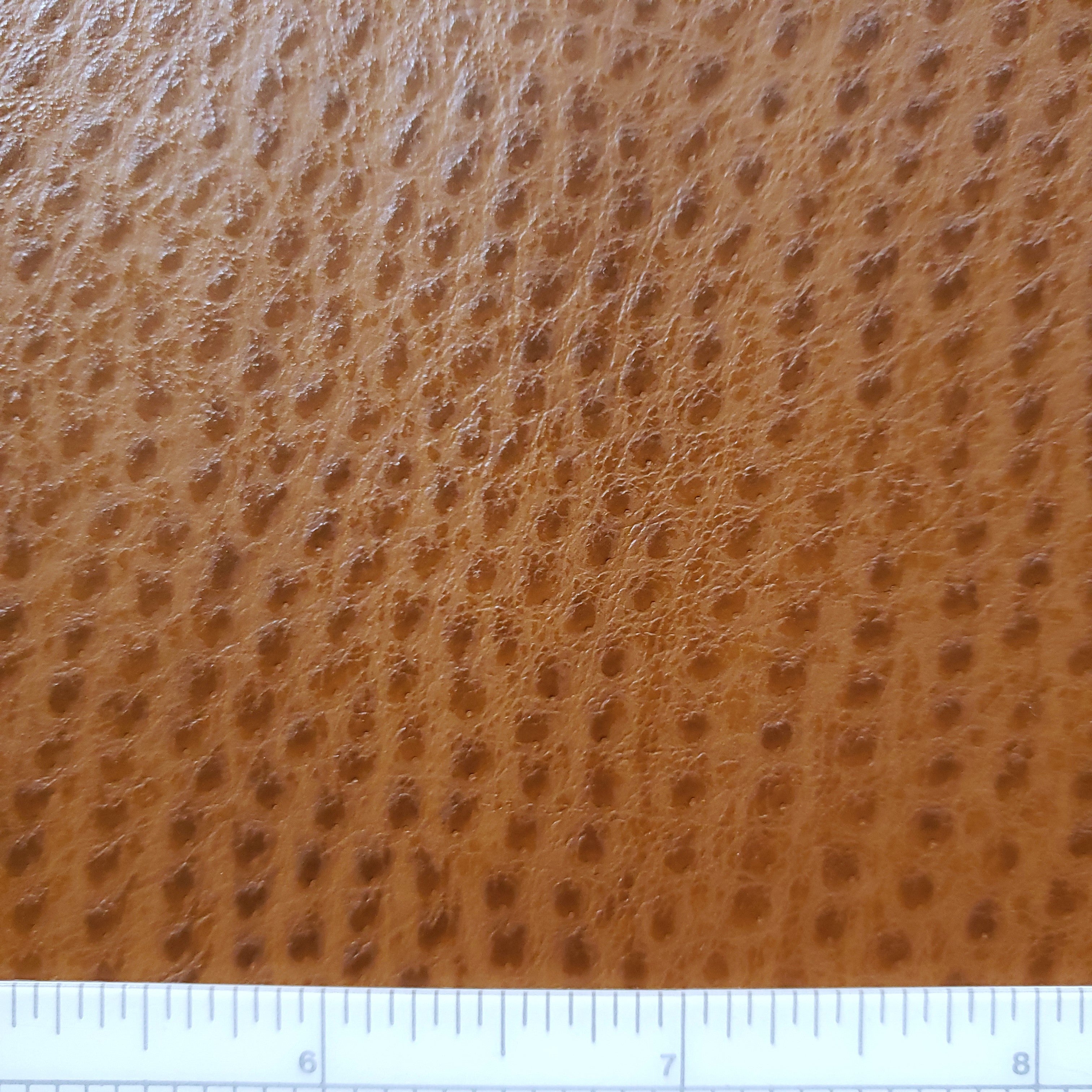 Faux and Vinyls – Bo Dee-Oh!