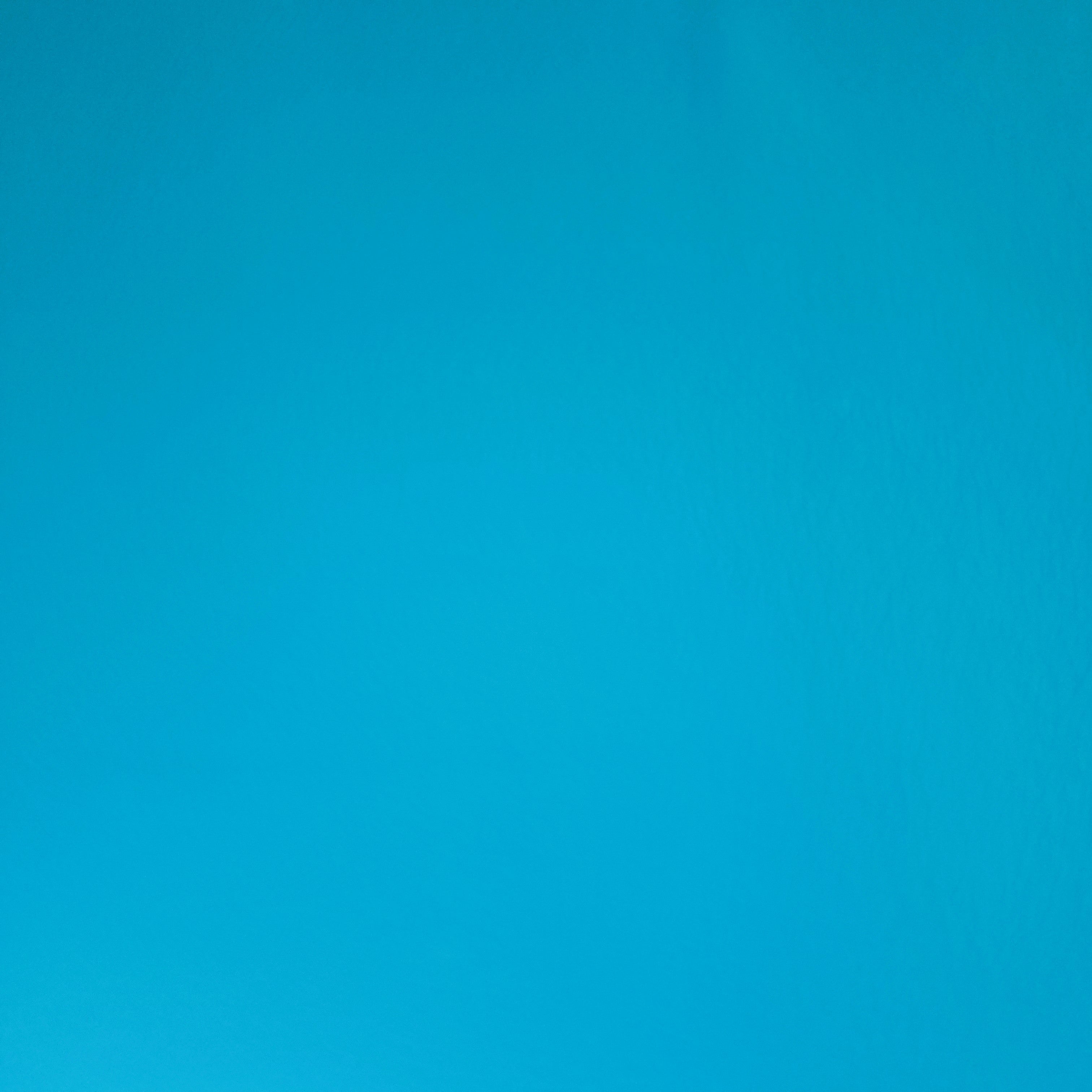 Faux and Vinyls – Bo Dee-Oh!